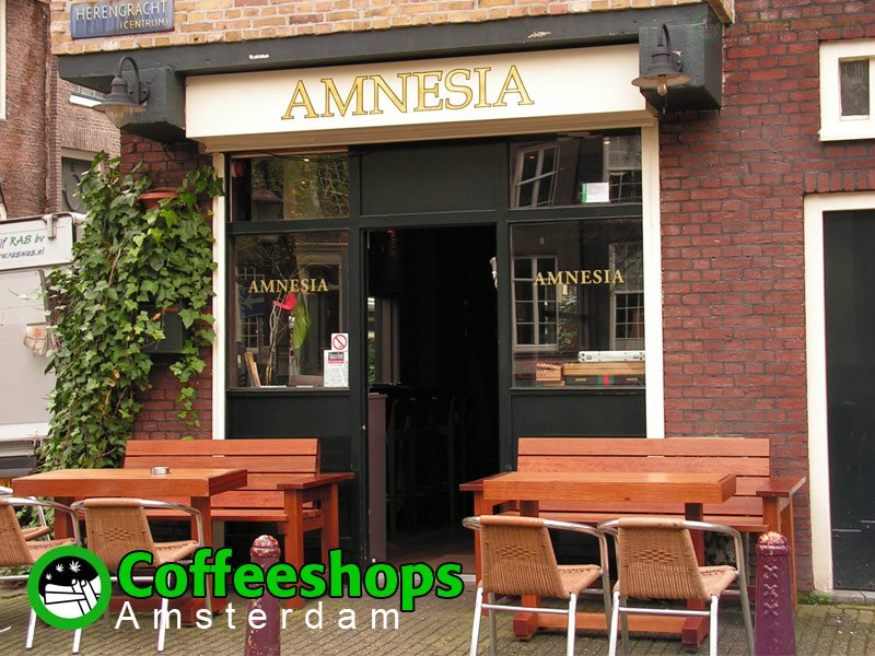 Amnesia - Coffeeshops Amsterdam